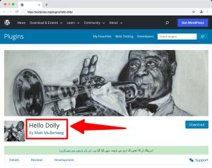 What Is 'Hello Dolly' Plugin In WordPress? Should You Delete It? | WPSack